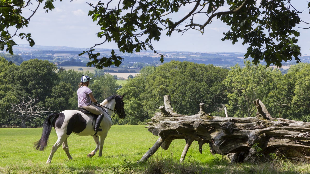 Take part in outdoor activities | Devon | National Trust