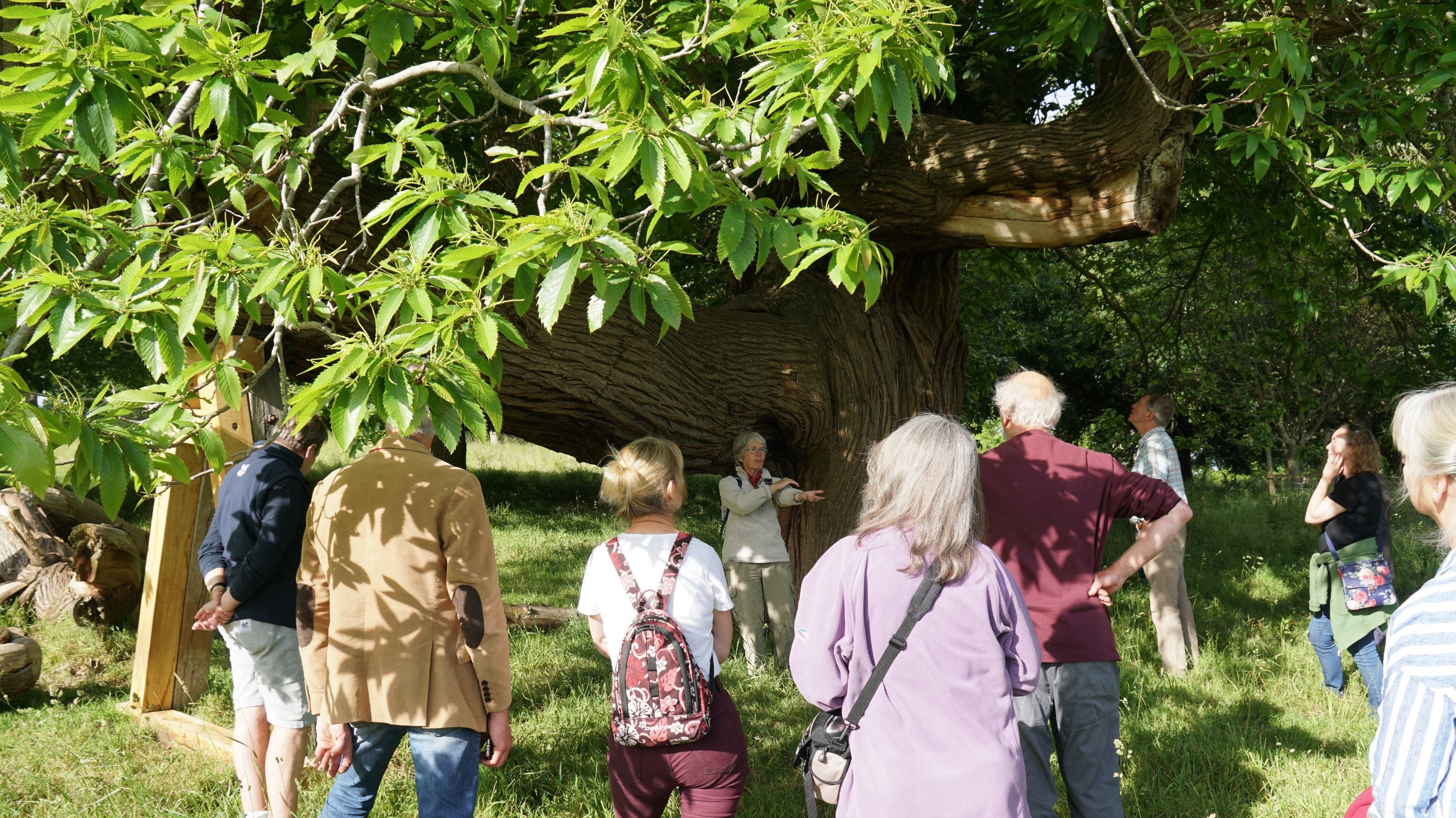 Killerton | Devon | National Trust