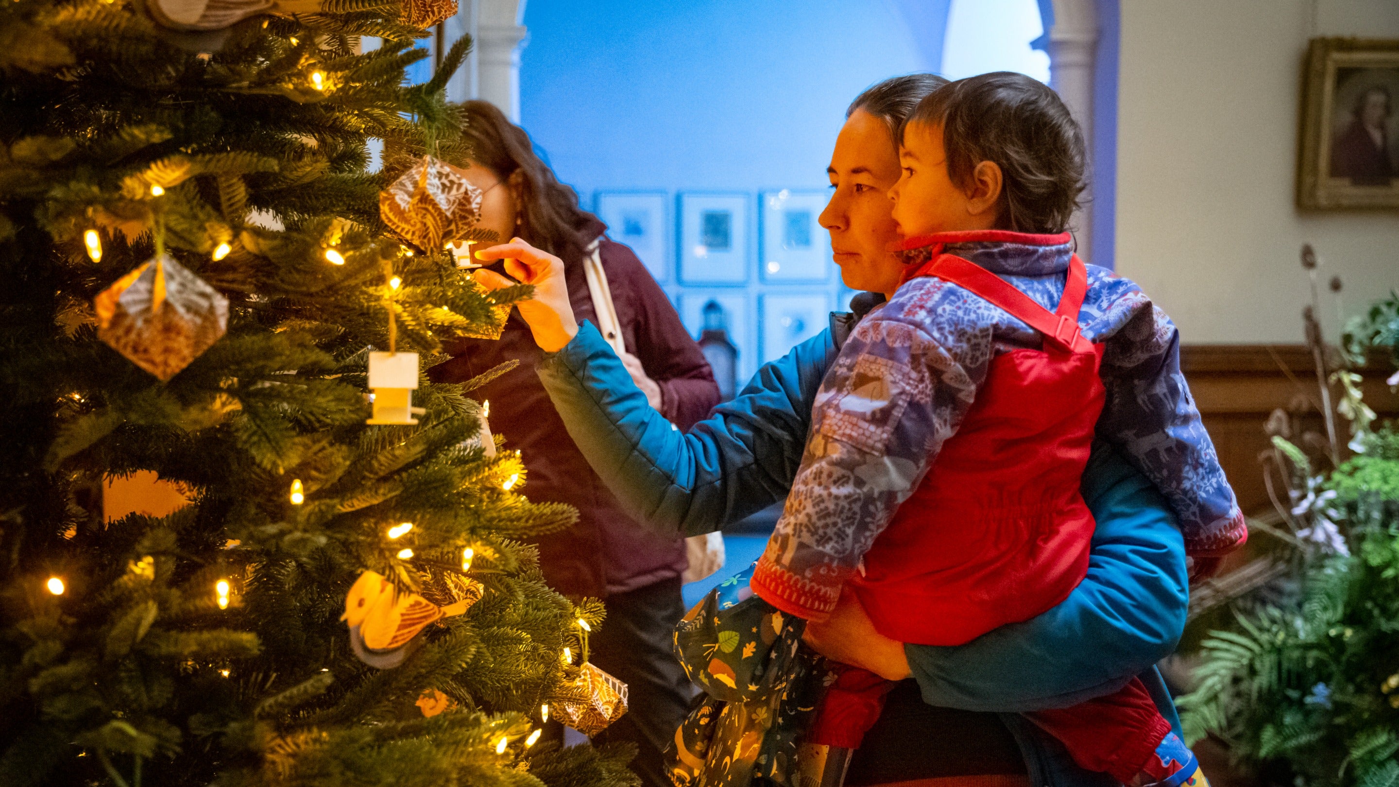 Christmas at Killerton | Devon | National Trust