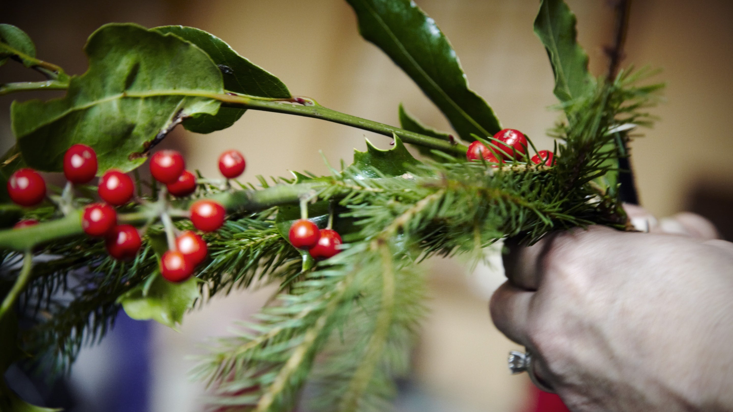 Christmas | Plas Newydd | Anglesey | National Trust