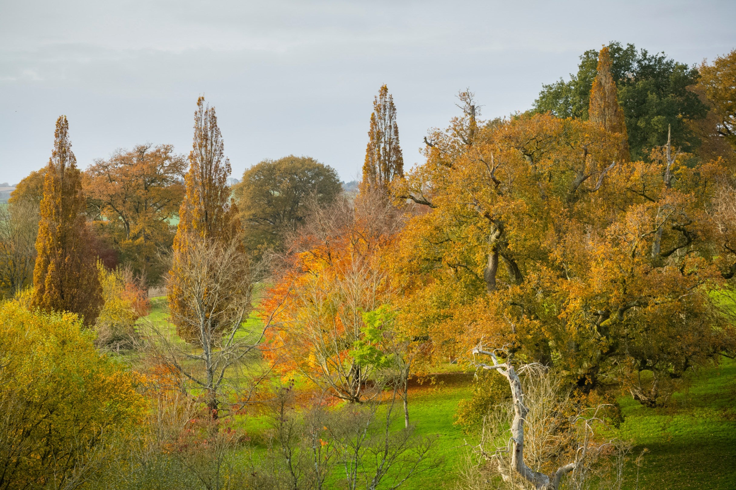 Knightshayes circular walk | Devon | National Trust