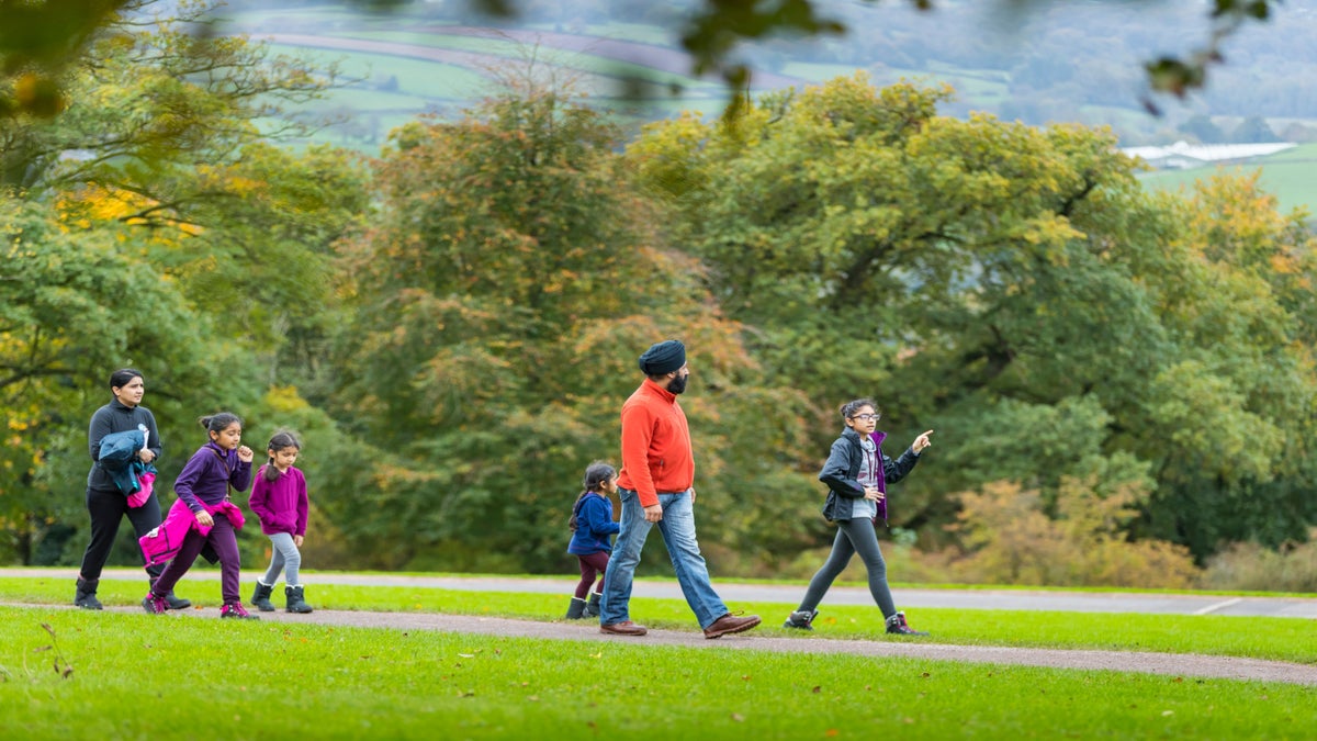 Knightshayes circular walk | Devon | National Trust