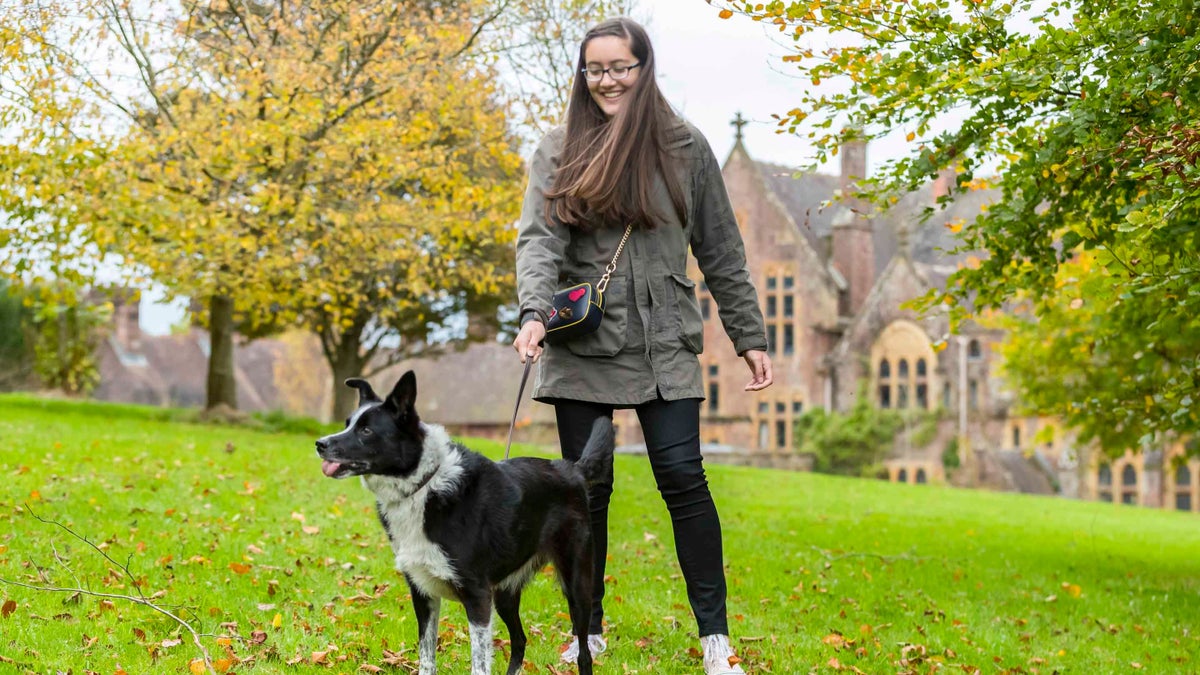 Dog walking at Knightshayes | Devon | National Trust