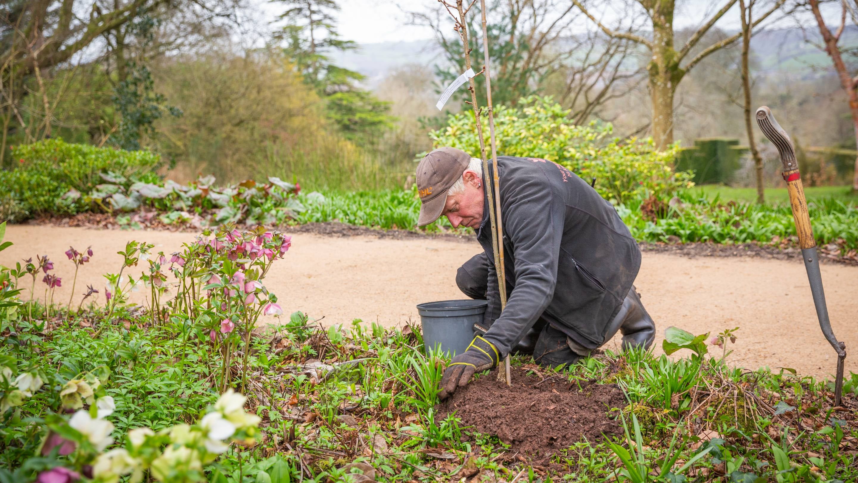Volunteering at Kingston Lacy │ Dorset | National Trust