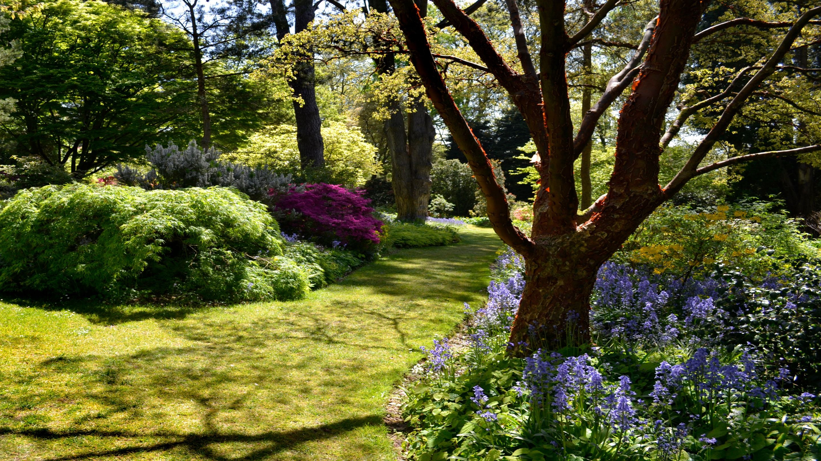 Visiting the Knightshayes garden | Devon | National Trust