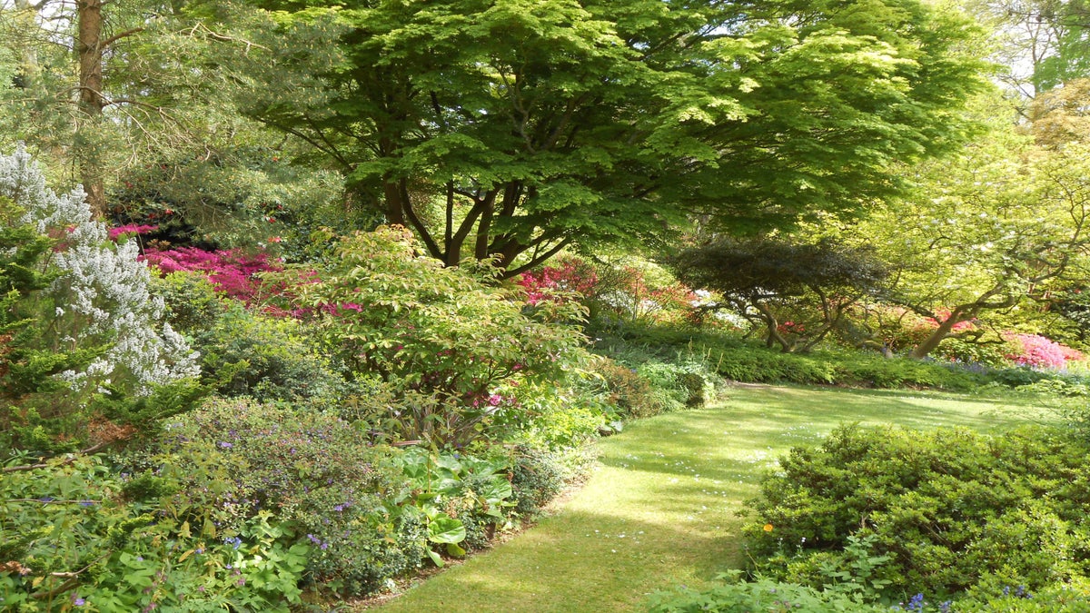 Gardens and parks in Devon | South West | National Trust