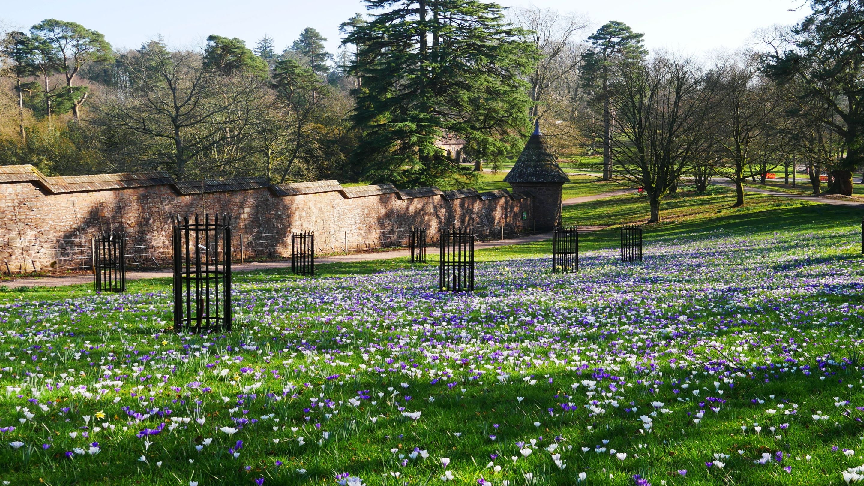 Knightshayes | Devon | National Trust