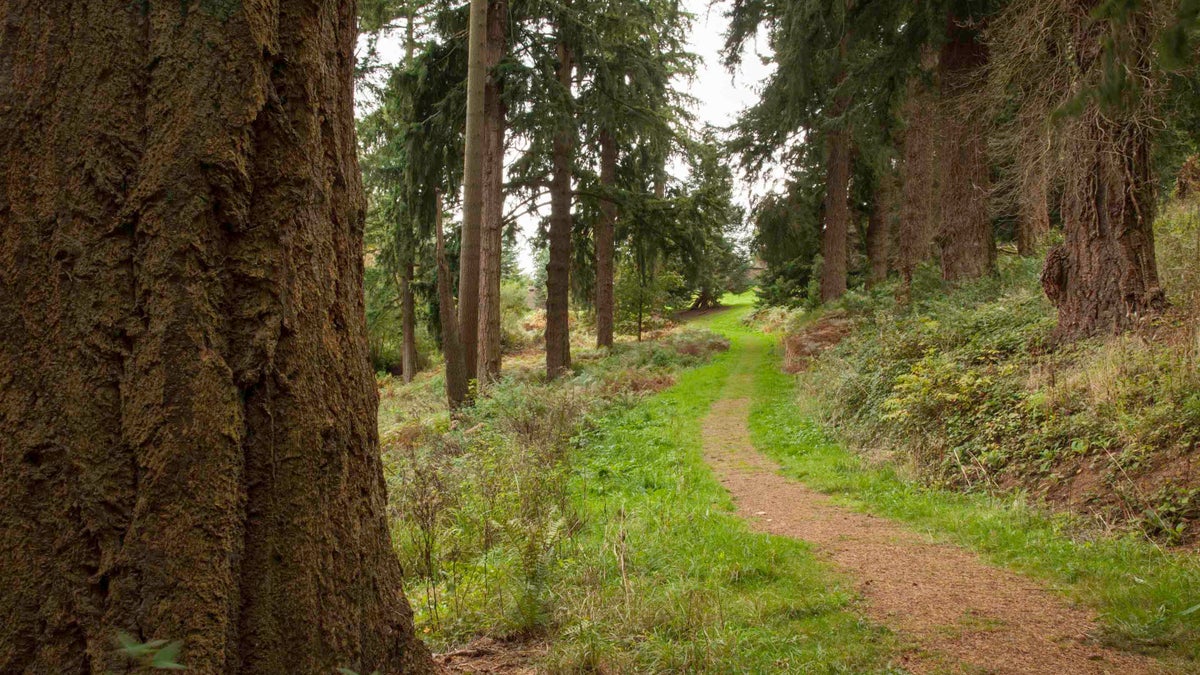 Visiting Knighthayes estate | Devon | National Trust