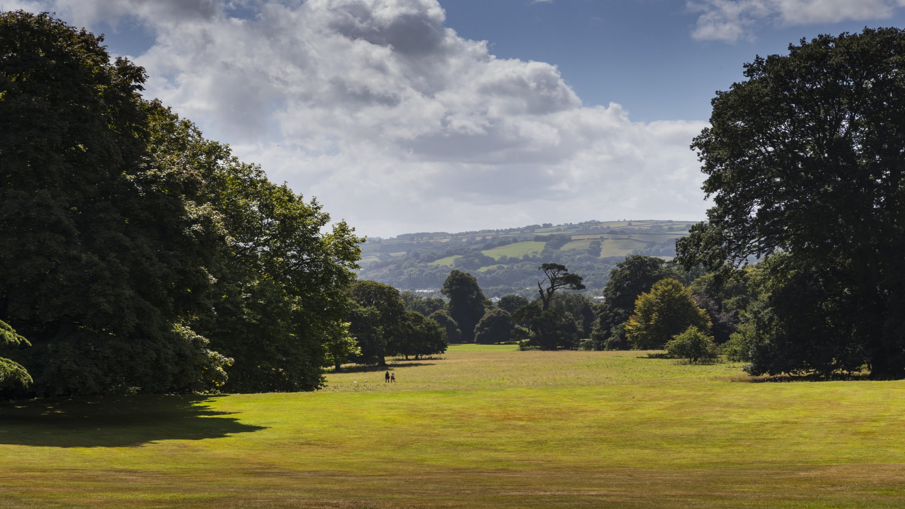 Knightshayes veteran tree walk | Devon | National Trust