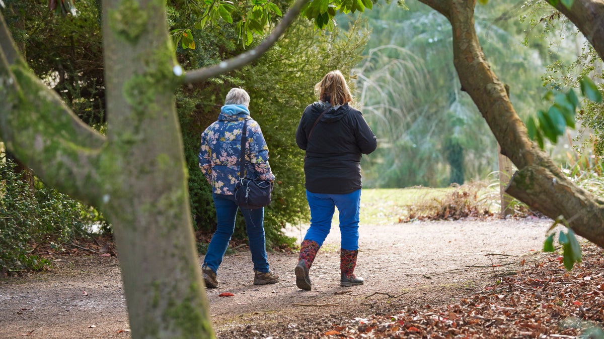 Walking in Devon | National Trust