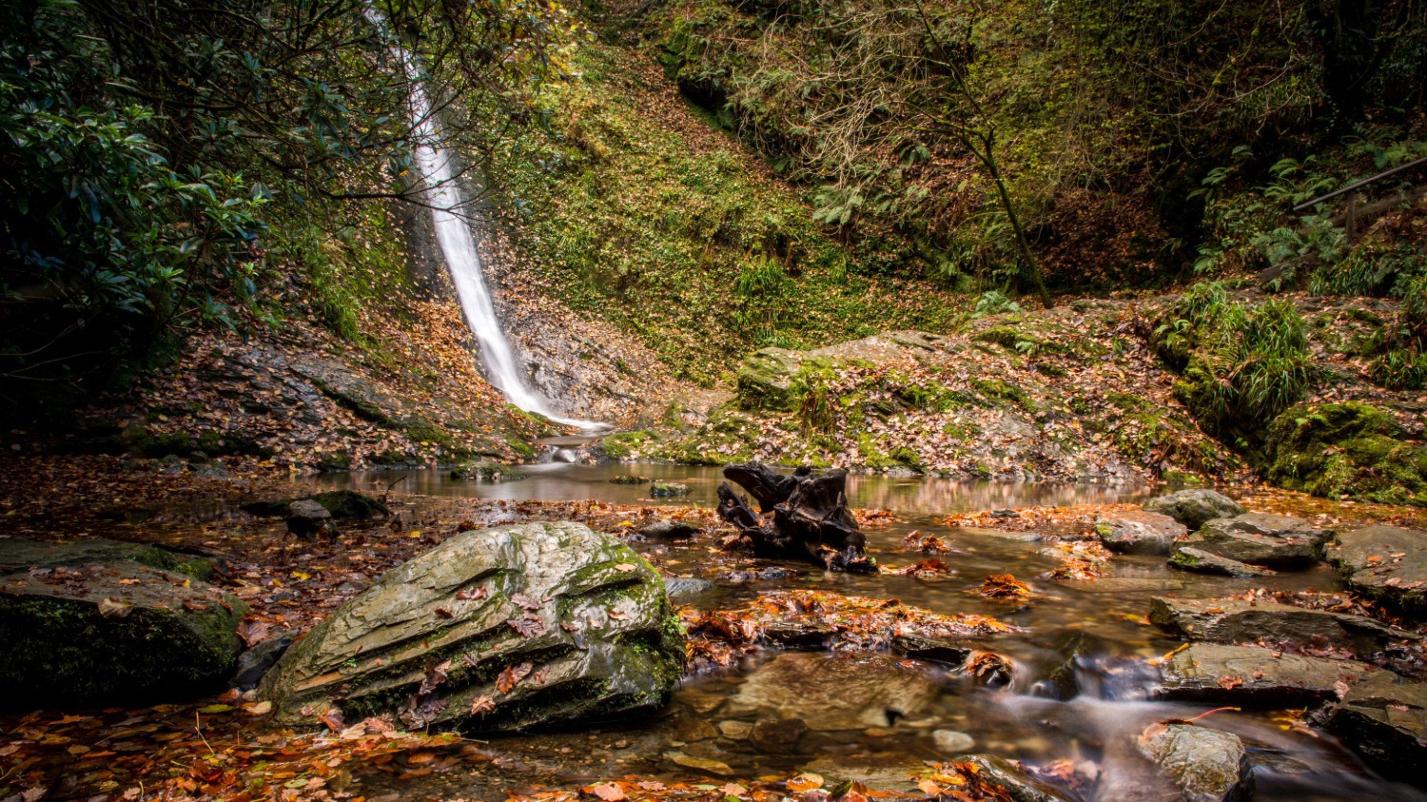 Exploring Lydford Gorge | Devon | National Trust
