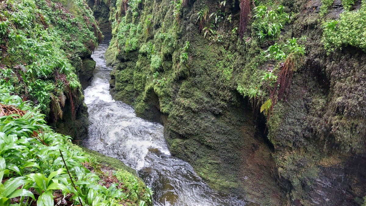 Exploring Lydford Gorge | Devon | National Trust