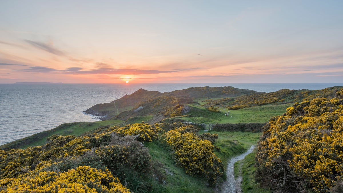 What's on in North Devon l Devon | National Trust