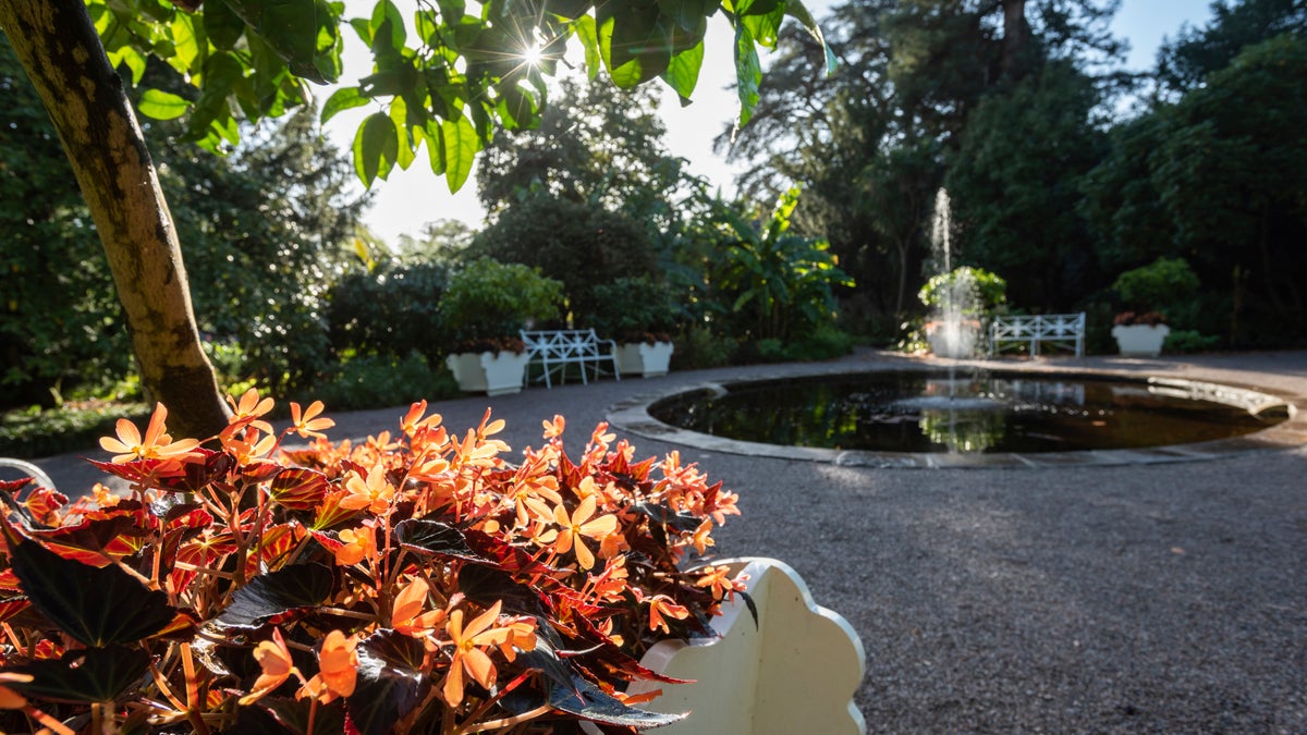Visiting Saltram's garden | Devon | National Trust
