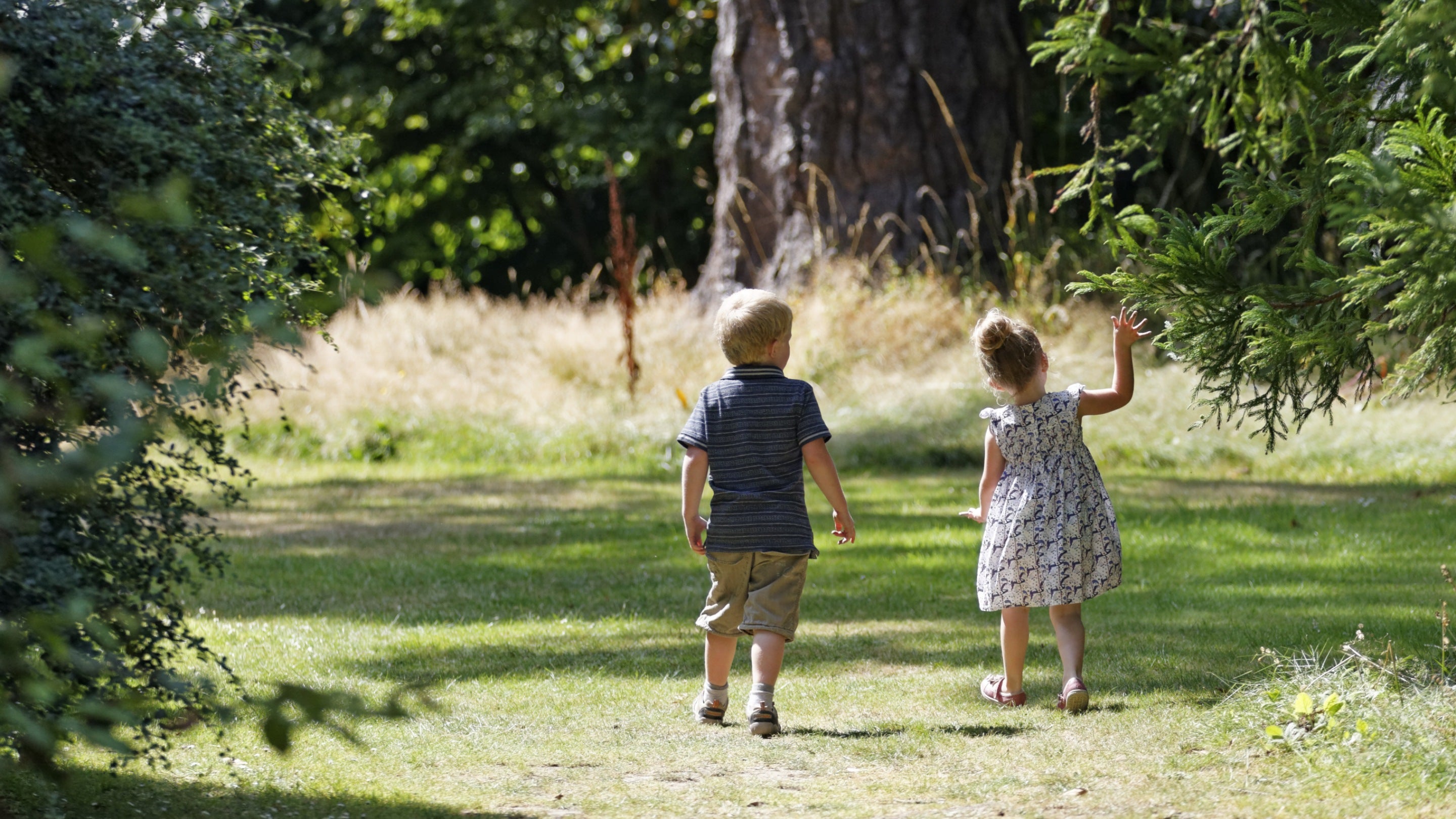 Saltram | Devon | National Trust