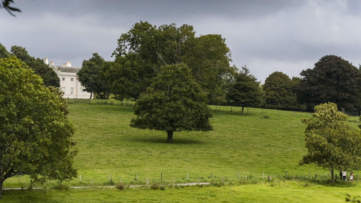 Saltram pillars walk | Devon | National Trust
