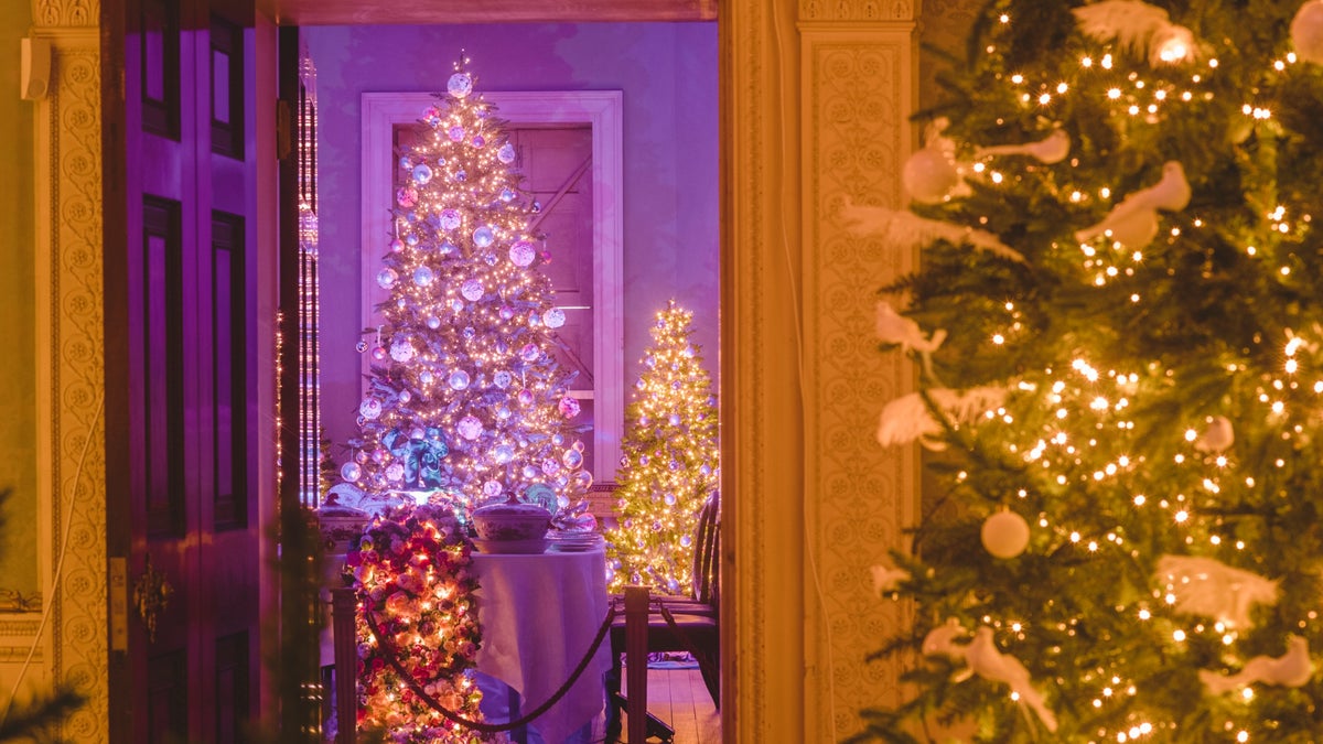 Christmas at Saltram | National Trust