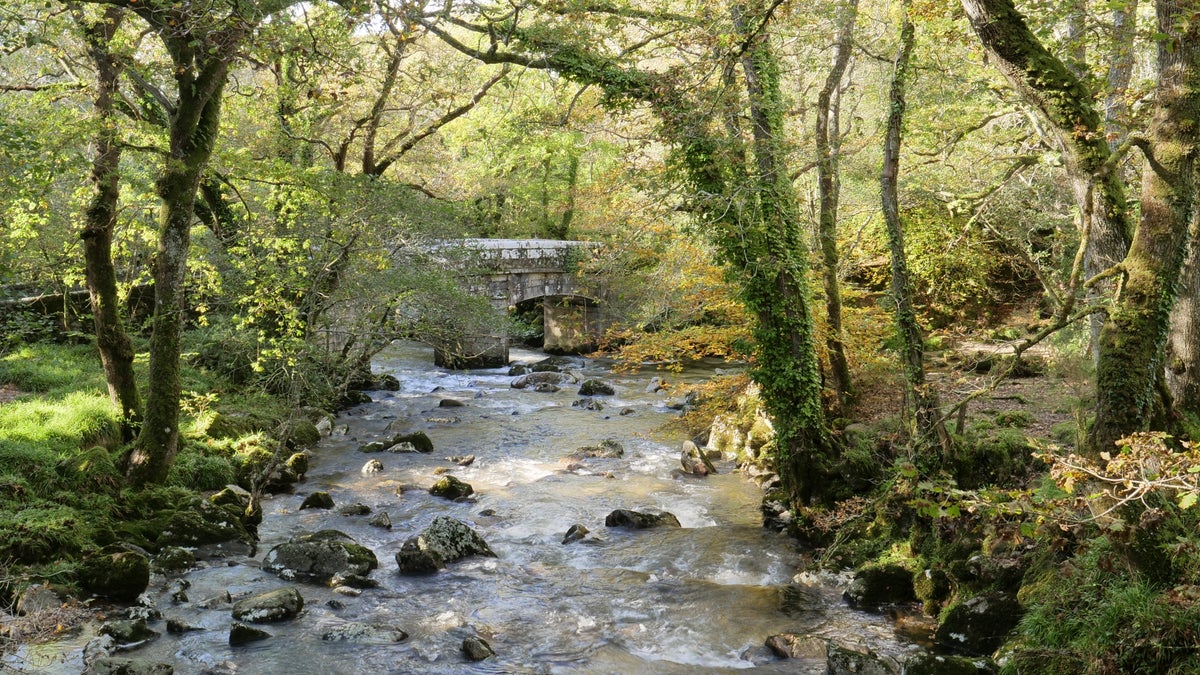 Shaugh Bridge | Devon | National Trust