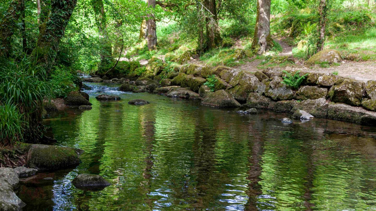 Visiting Shaugh Bridge, Dartmoor | Devon | National Trust