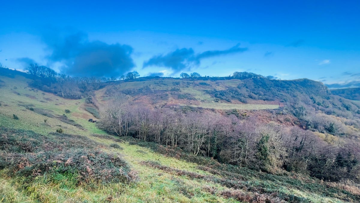 Salcombe Views and Valleys Walk | Devon | National Trust
