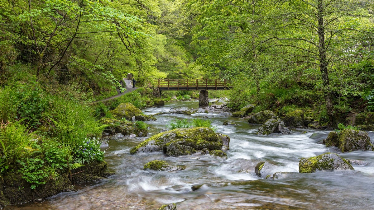 Countisbury and Westerwood walk | Devon | National Trust