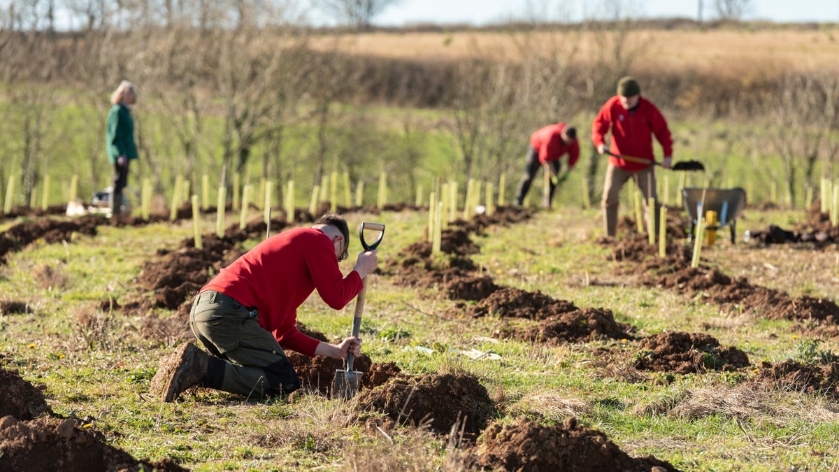 Climate Action in North Devon I Devon | National Trust