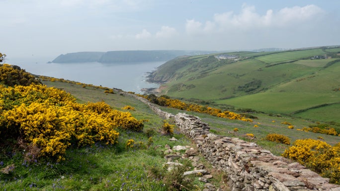 Revelstoke Drive & Noss Mayo walk | Devon | National Trust