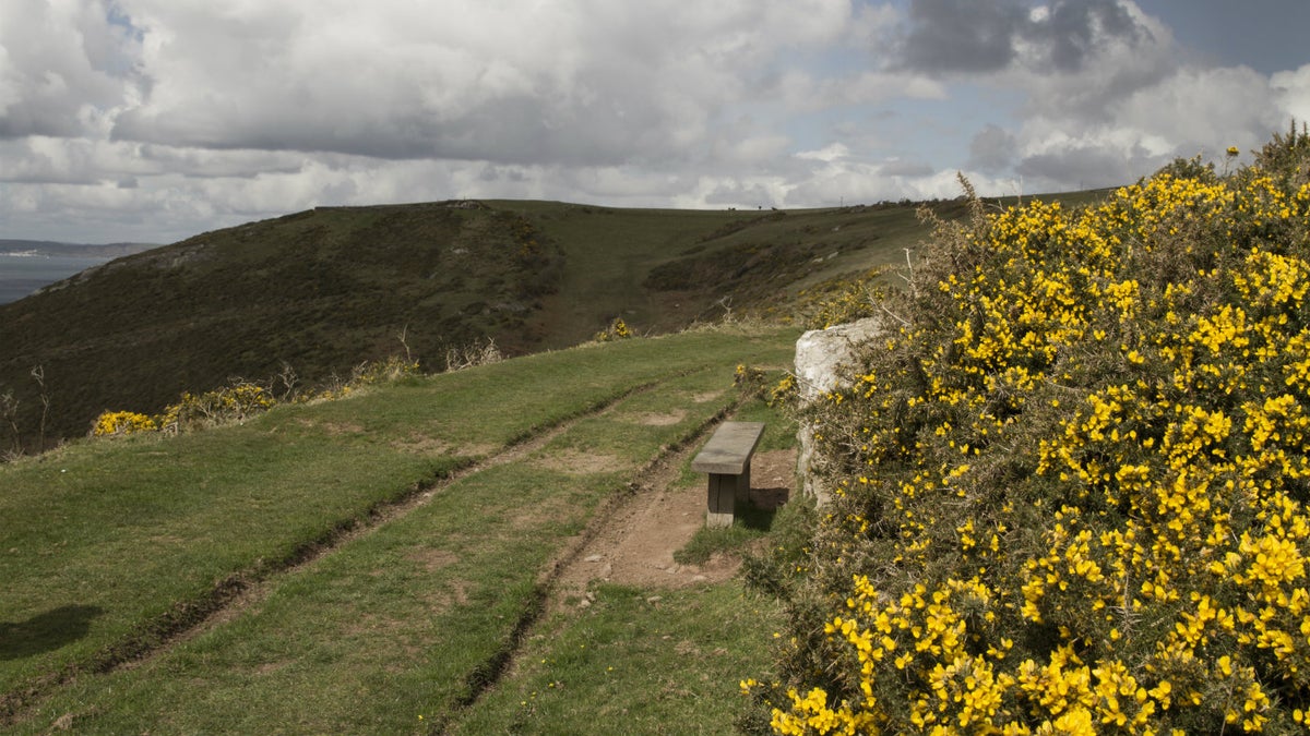 Coastal downs walk at Stoke Point | Devon | National Trust