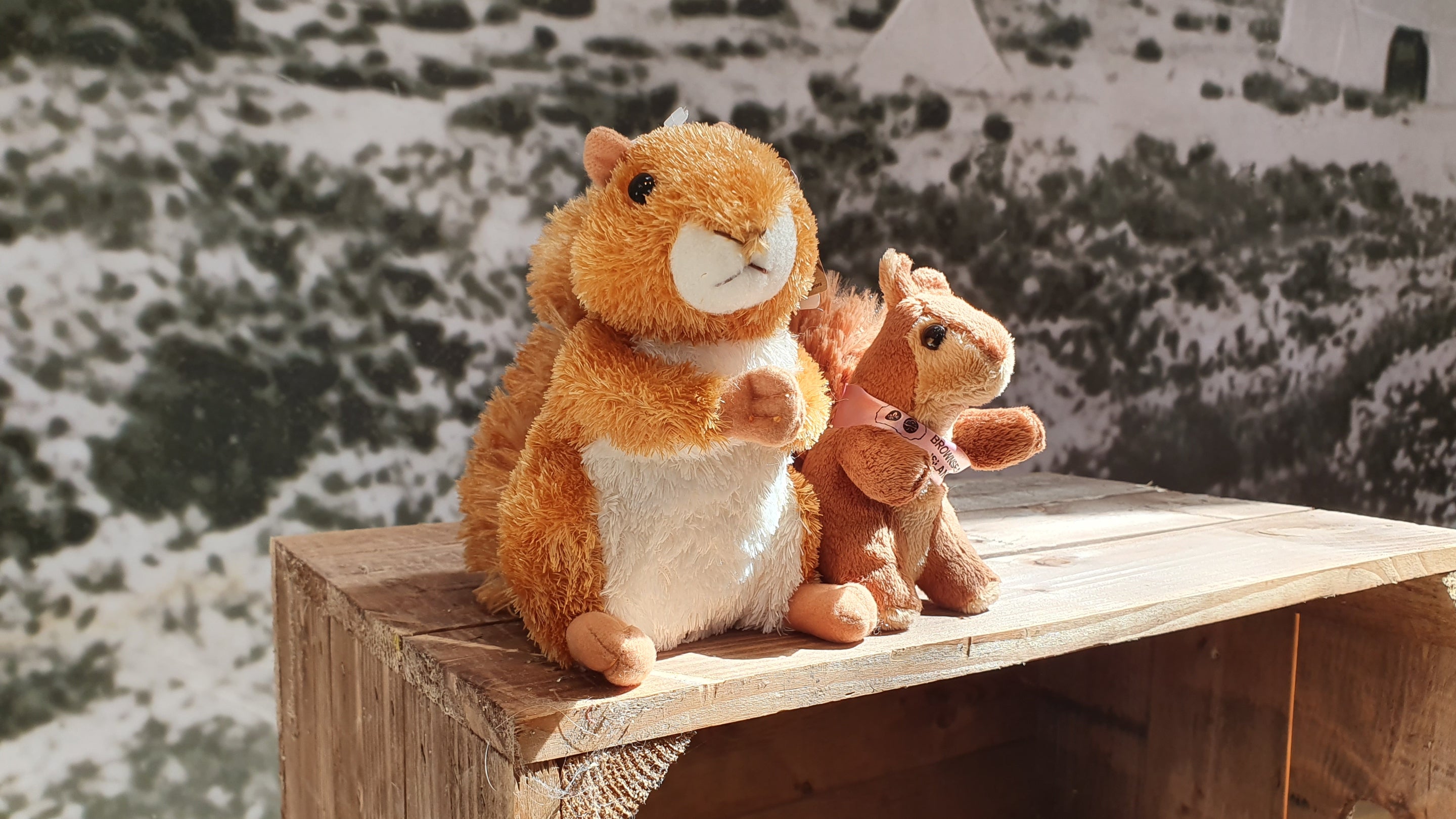 Eating and shopping on Brownsea Island | National Trust