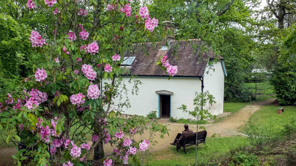 Clouds Hill | Dorset | National Trust