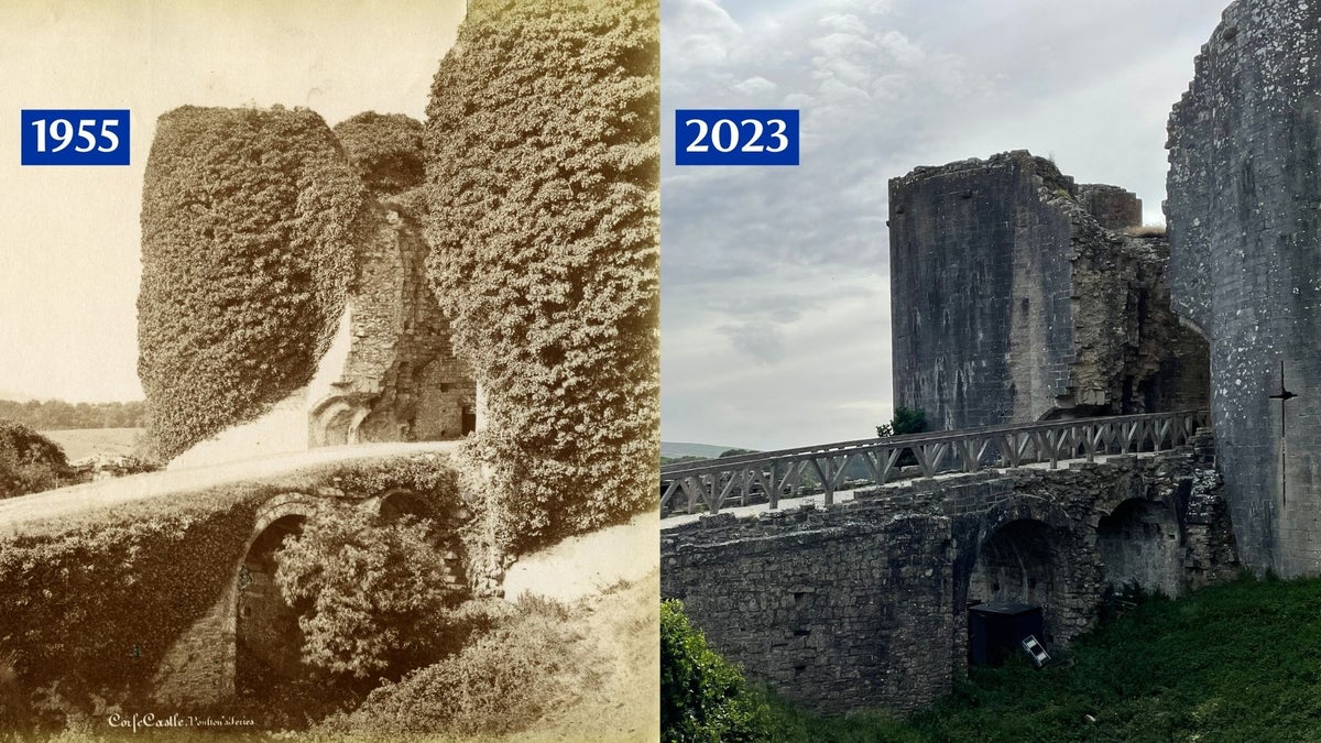 Conservation at Corfe Castle | Dorset | National Trust