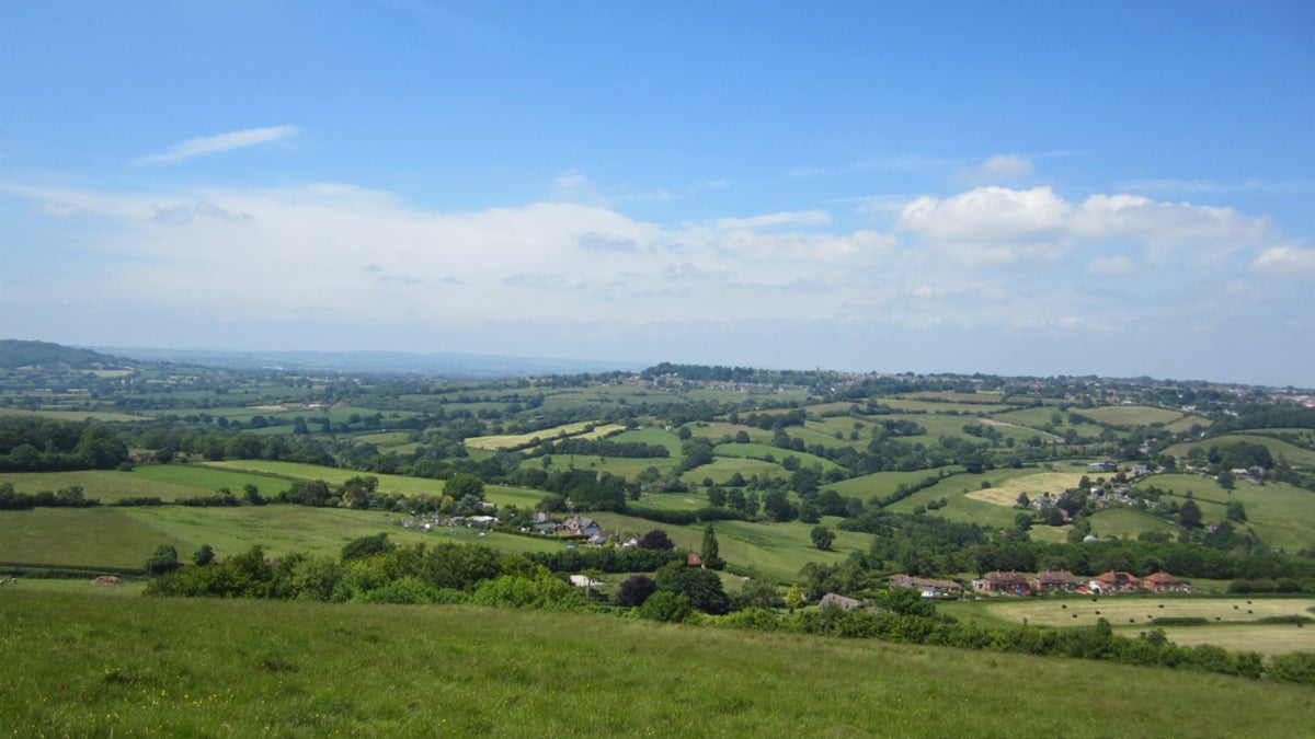 Melbury Beacon walk | Dorset | National Trust