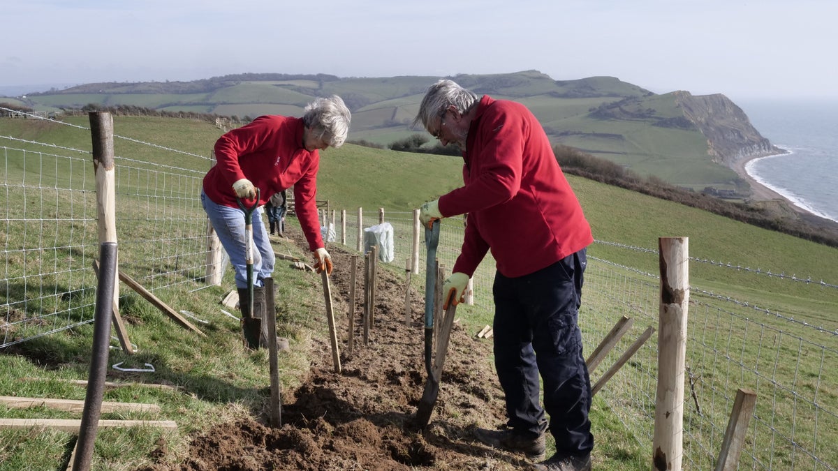 Our work at Golden Cap | Dorset | National Trust