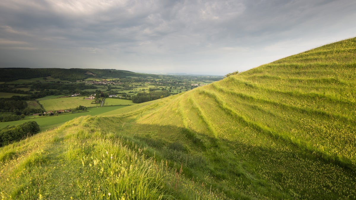 Hambledon Hill | Dorset | National Trust