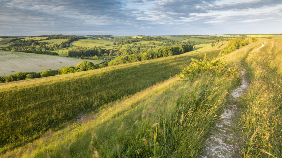 Hod Hill circular walk | Dorset | National Trust