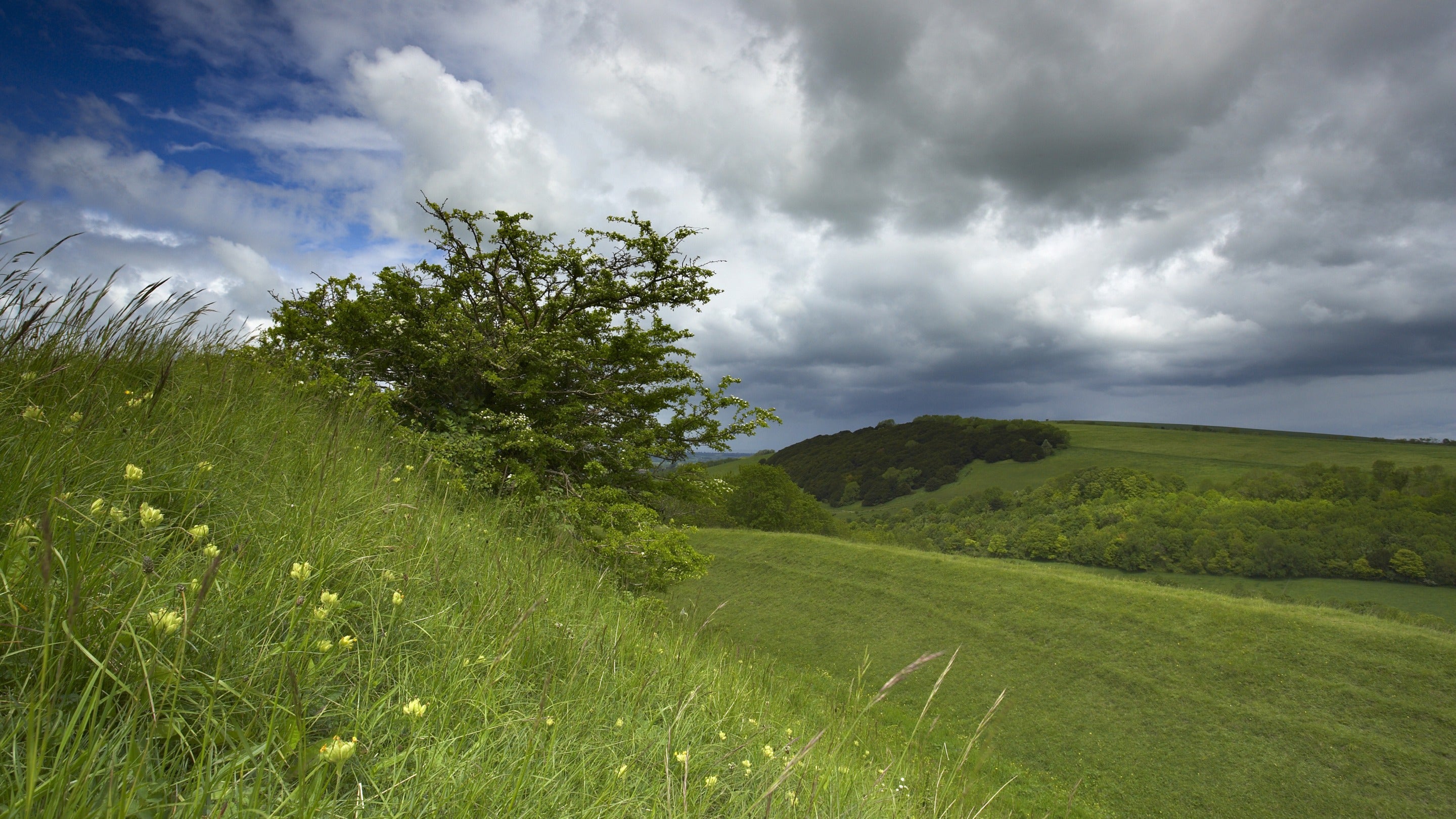 Hod Hill | Dorset | National Trust