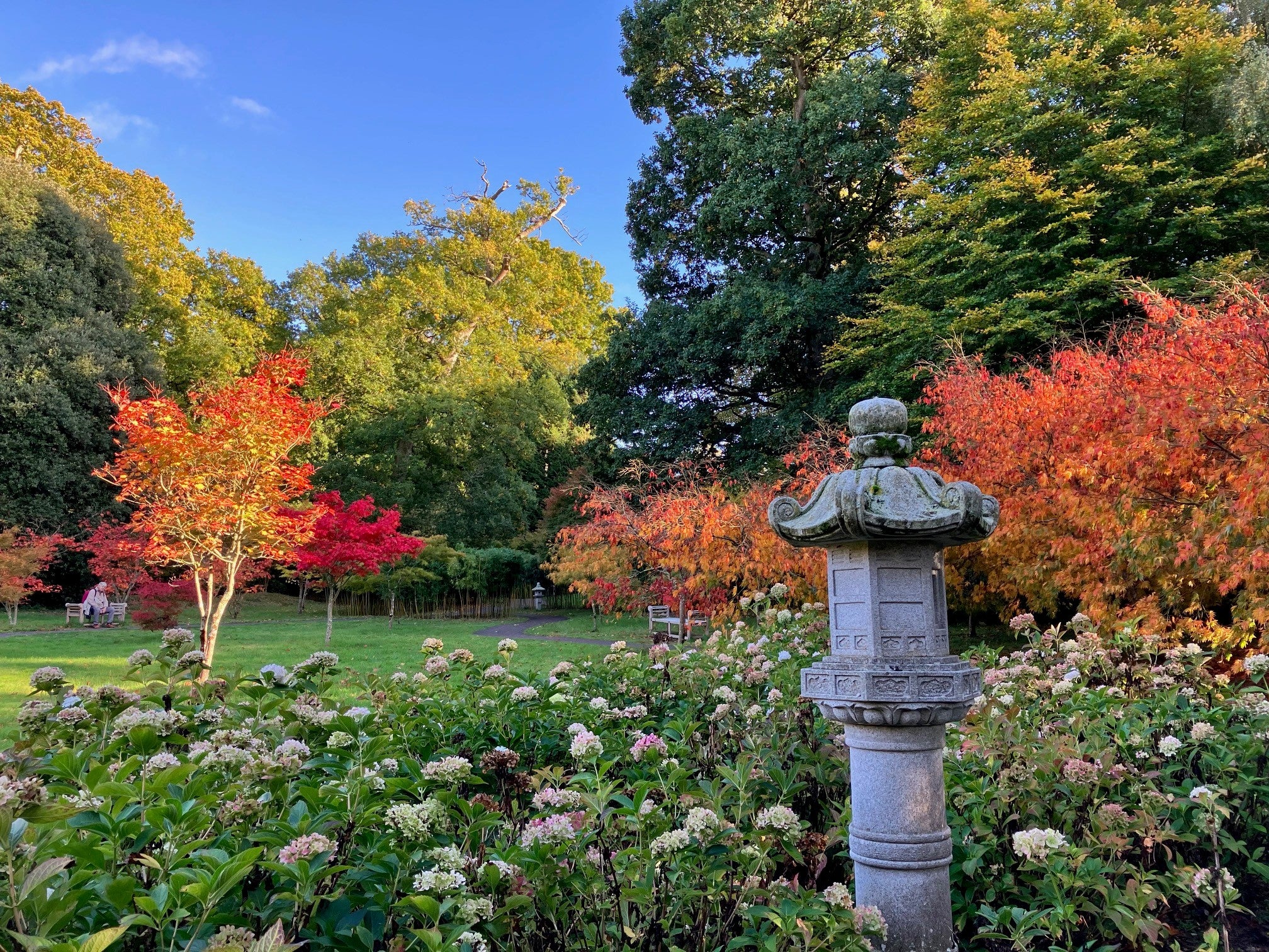 The garden at Kingston Lacy | Dorset | National Trust