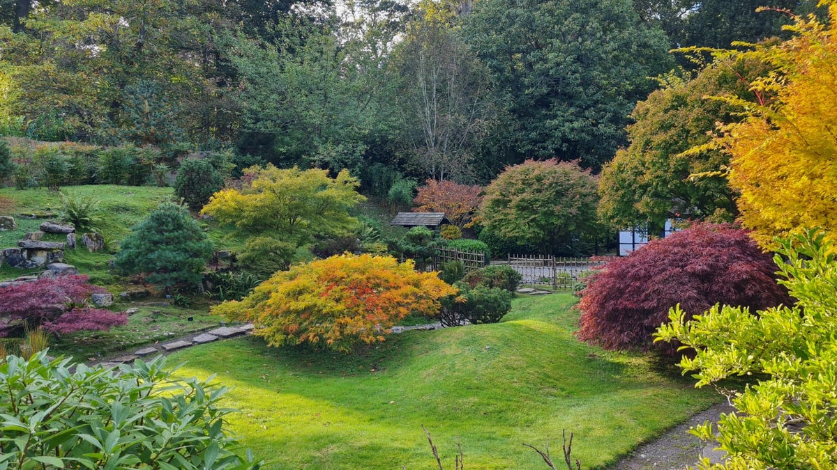 The garden at Kingston Lacy | Dorset | National Trust