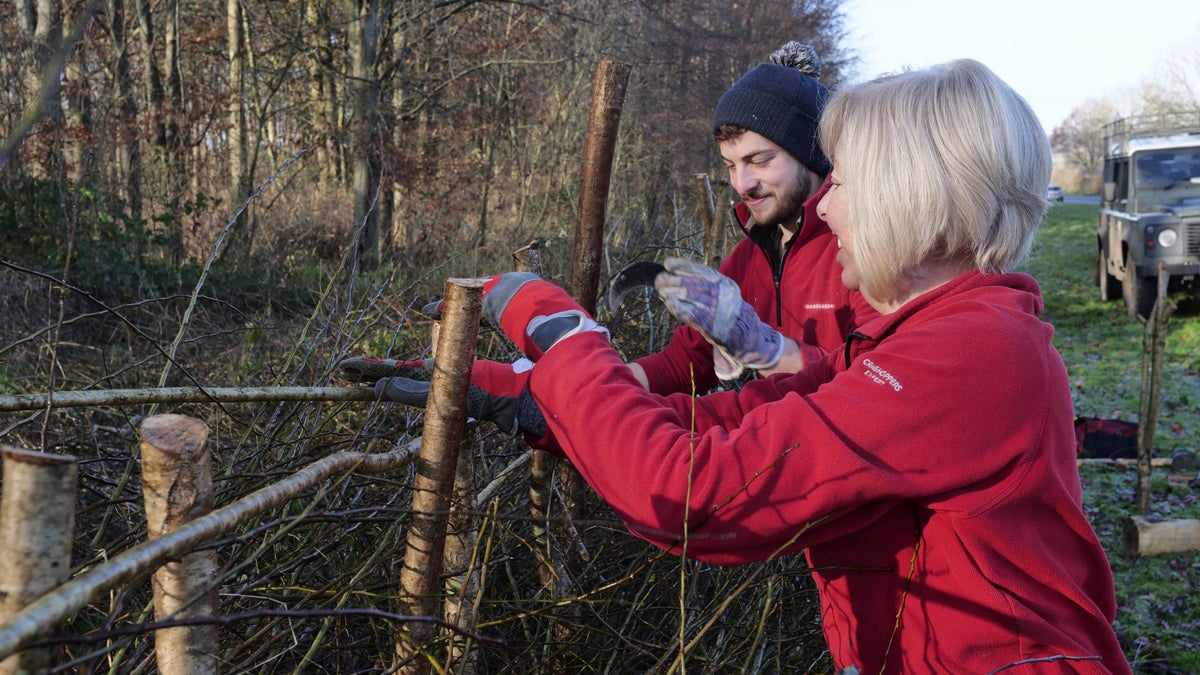 Volunteering at Castle Coole | National Trust
