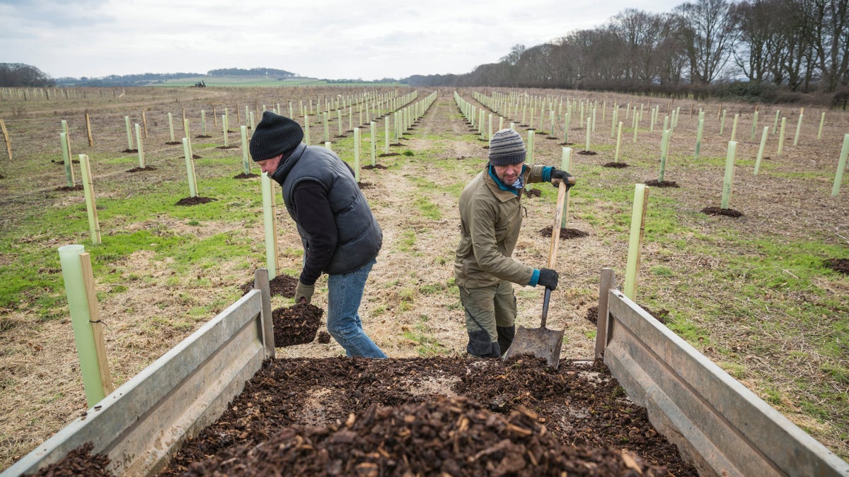 Our partners | National Trust