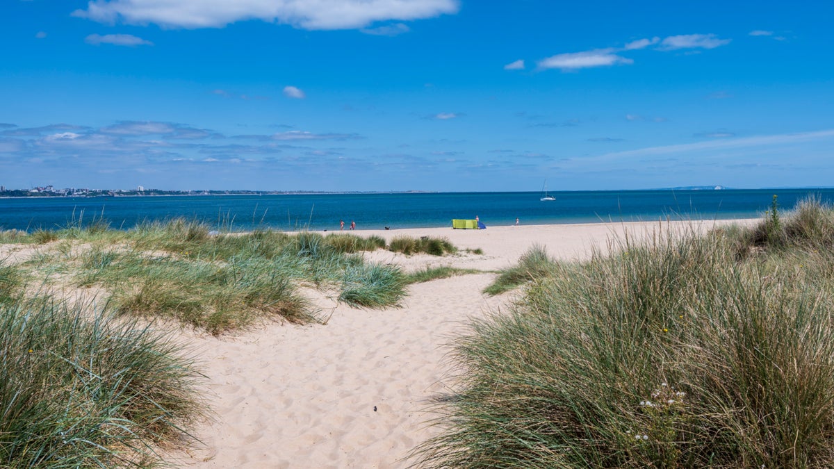 Coast and beaches in Dorset | South West | National Trust