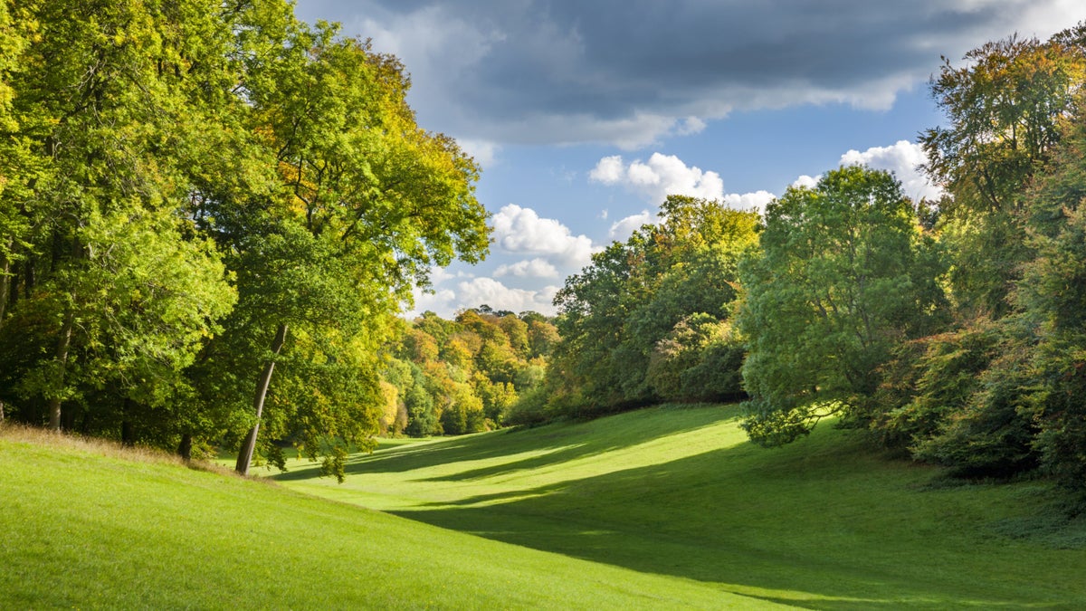 Ashridge boundary trail | Hertfordshire | National Trust