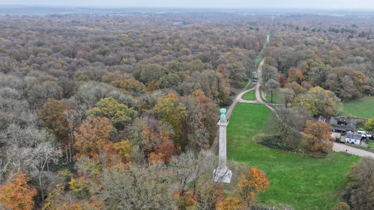 Monument Conservation | Ashridge Estate | National Trust