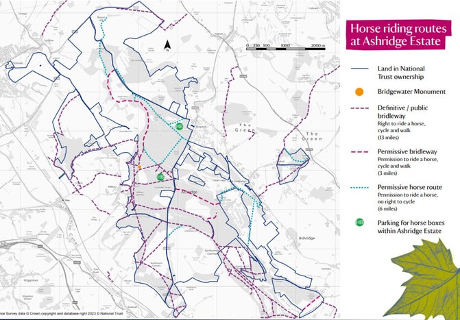 Outdoor activities | Hertfordshire | National Trust