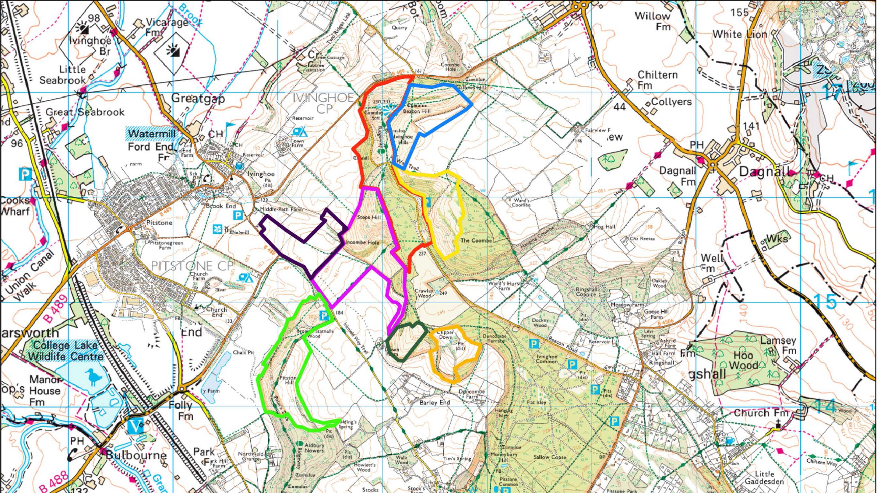 Dogs at Ashridge Estate | Hertfordshire | National Trust