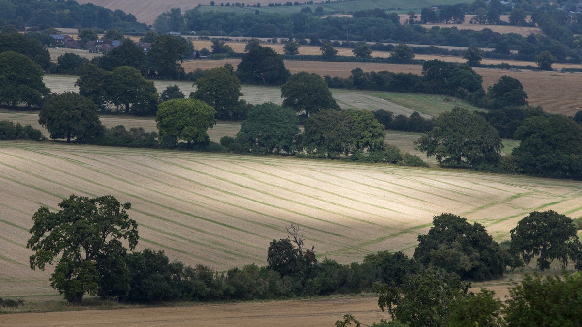 History of Ashridge Estate | Hertfordshire | National Trust