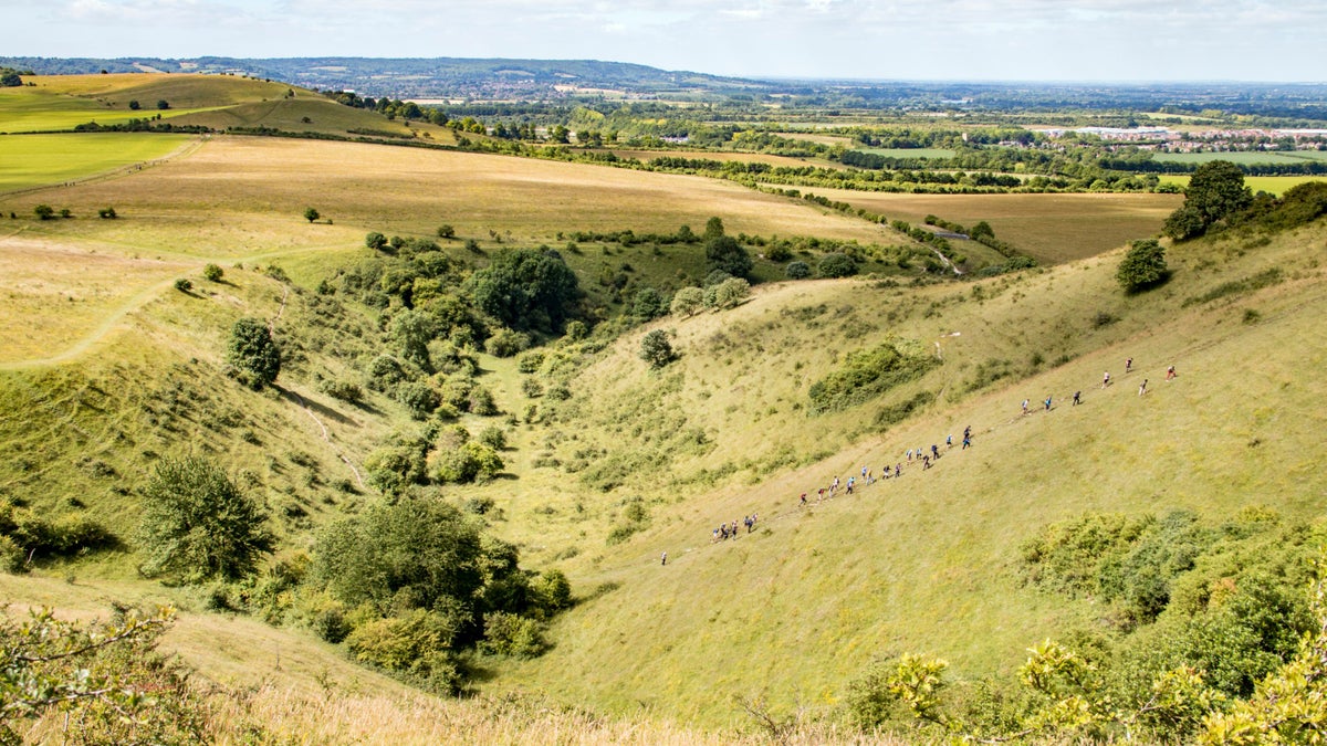 Ashridge boundary trail | Hertfordshire | National Trust