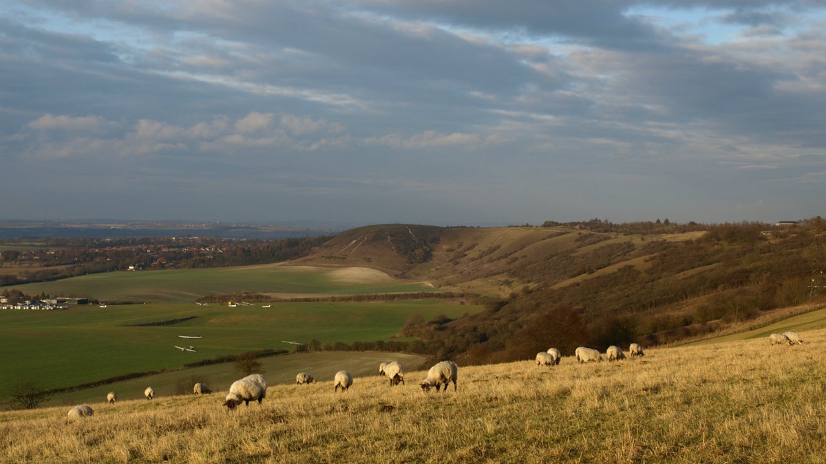 Dunstable Downs Five Knolls walk │Beds | National Trust