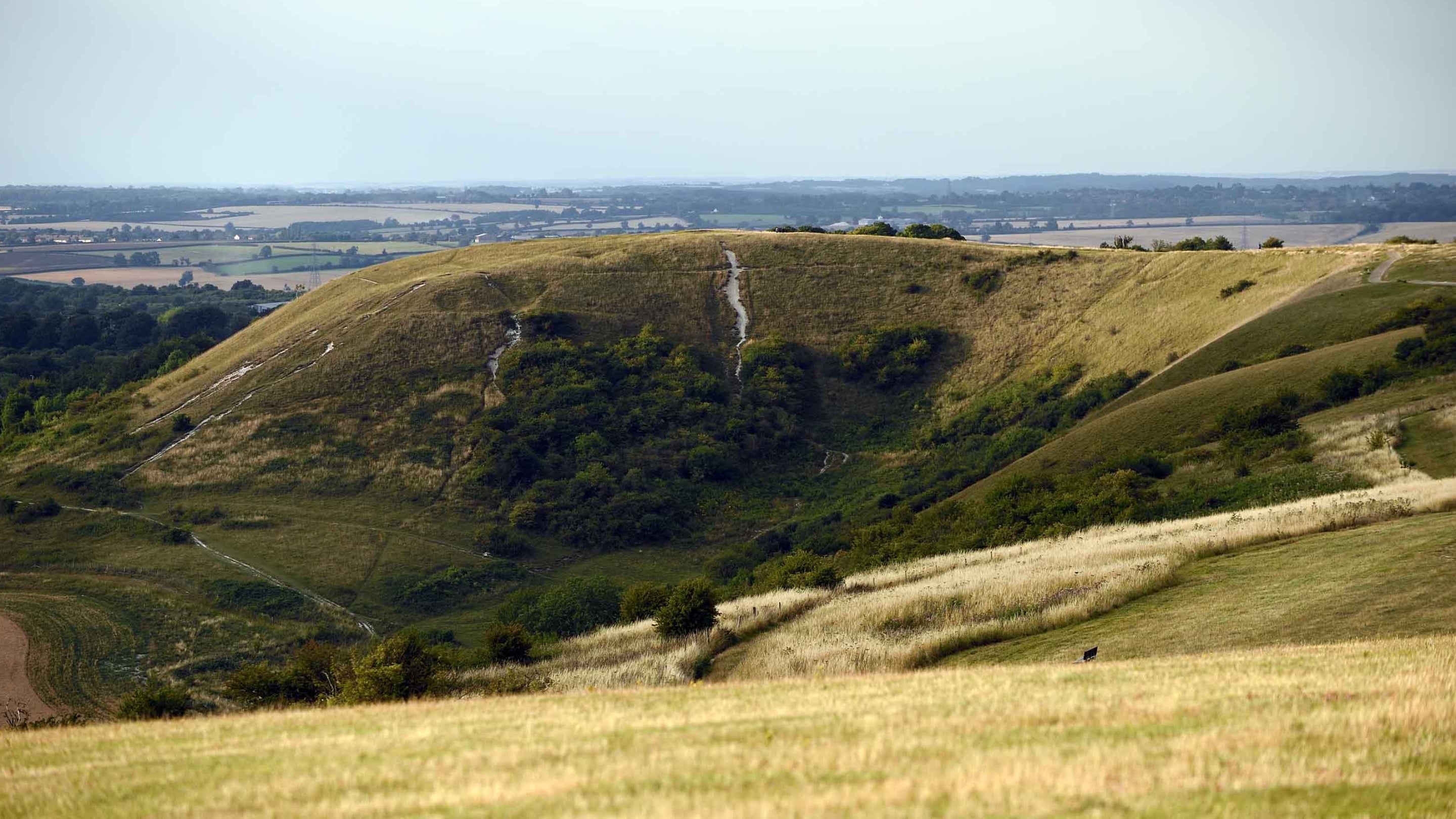Top walks in Essex, Bedfordshire and Herts | National Trust