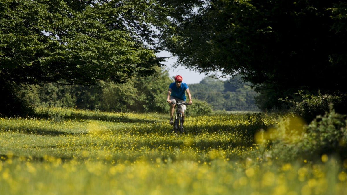 Sustainable travel | Essex, Beds and Herts | National Trust